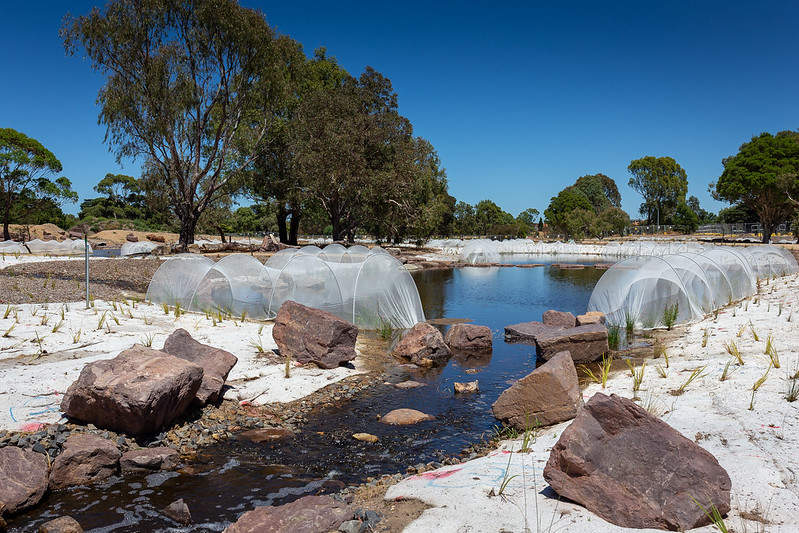 Chain of Ponds open at Elsternwick Nature Reserve – 88.3 Southern FM